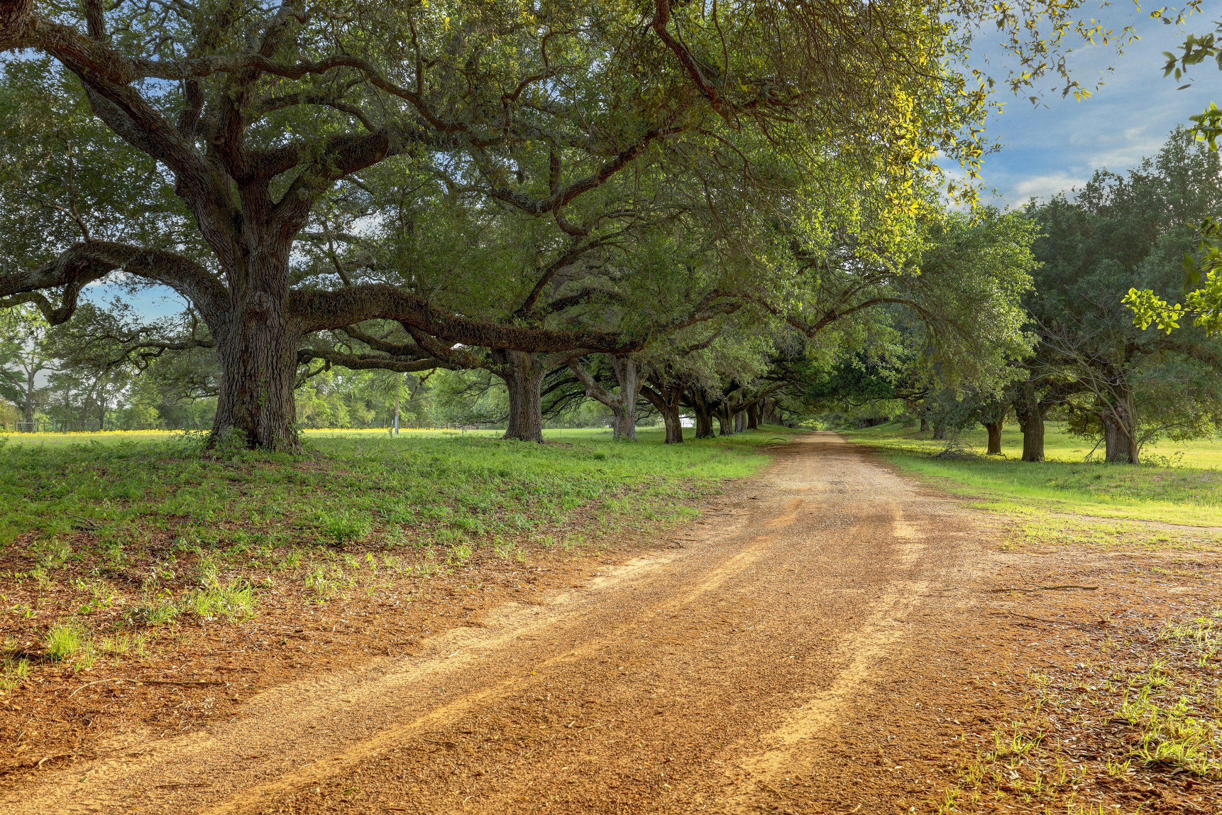 Take a Look at Our Beautiful Communities